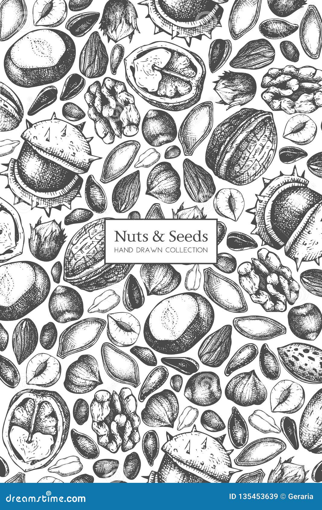 Vector Design with Hand Drawn Nuts and Seeds Sketches. Hazelnut, Walnut ...