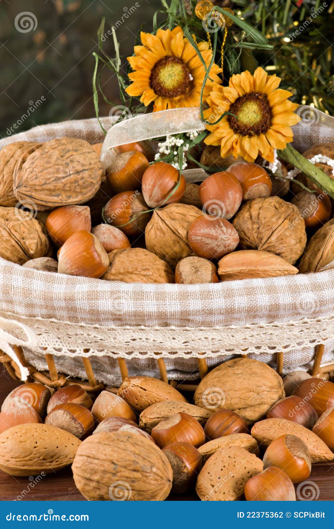 Nuts and dried figs stock photo. Image of lunch, tree - 22375362