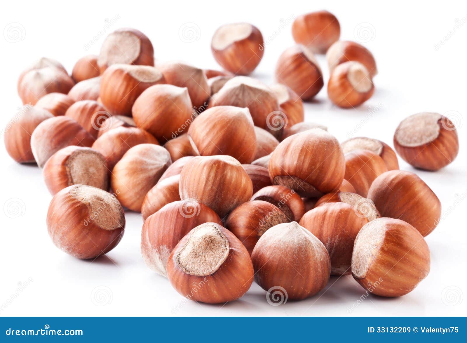 Nuts filberts isolated stock image. Image of separately - 33132209