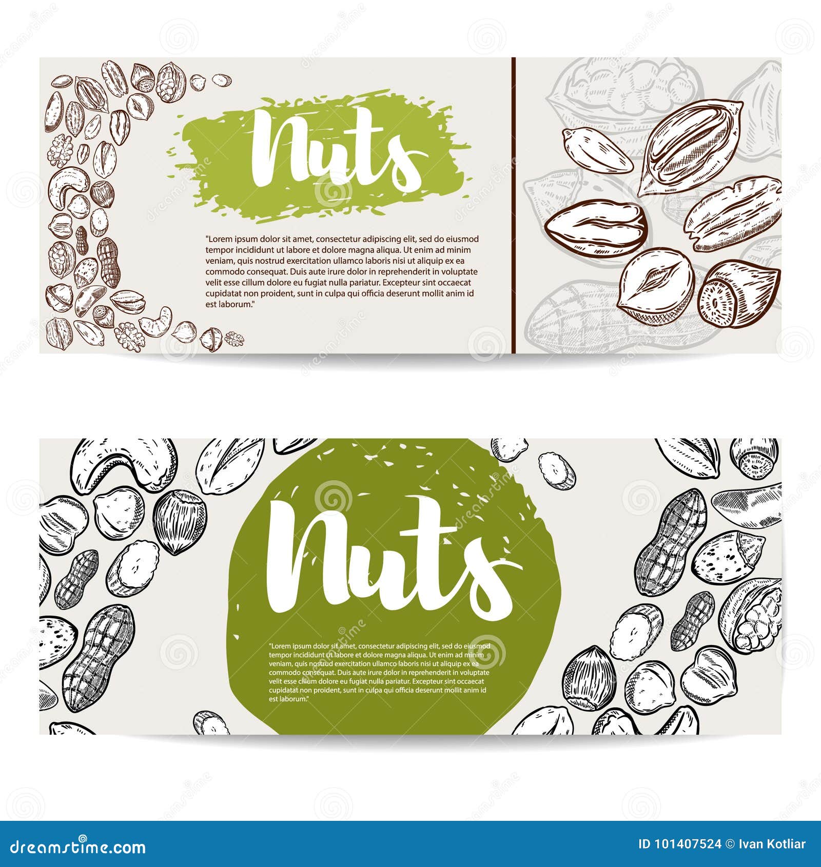 Nuts. Flyer Template with Border from Nuts Illustrations. Design ...