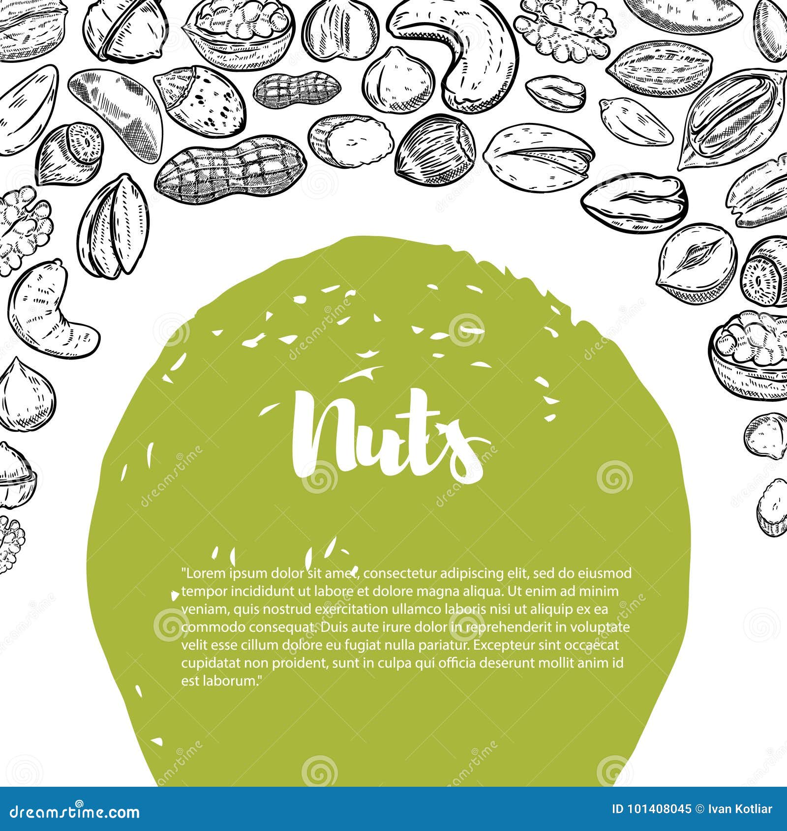 Nuts. Flyer Template with Border from Nuts Illustrations Stock Vector ...