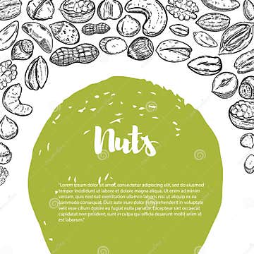 Nuts. Flyer Template with Border from Nuts Illustrations Stock Vector ...
