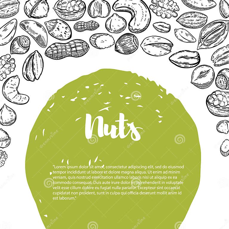 Nuts. Flyer Template with Border from Nuts Illustrations Stock Vector ...
