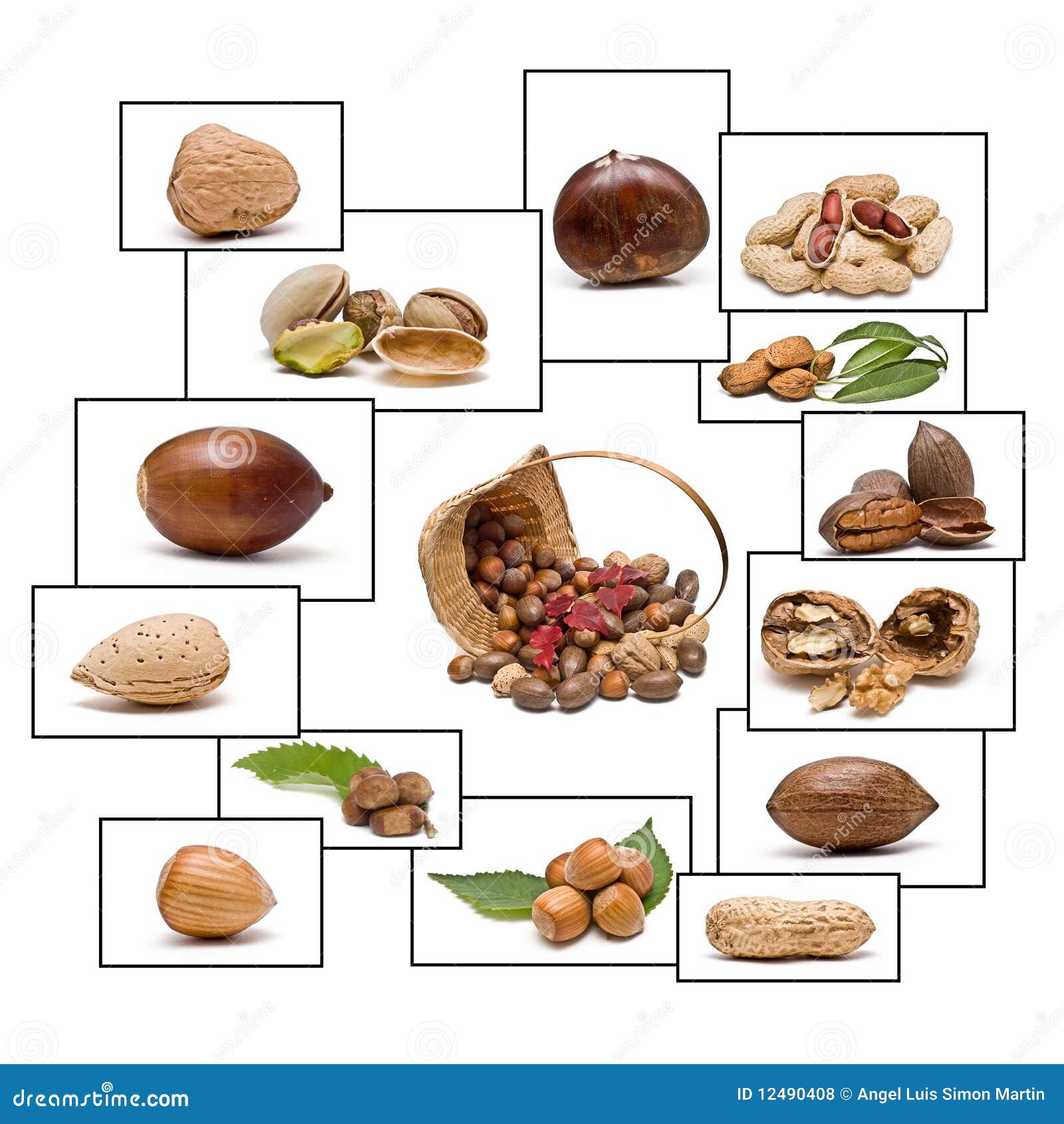 161 Nuts Frames Stock Photos - Free & Royalty-Free Stock Photos from ...