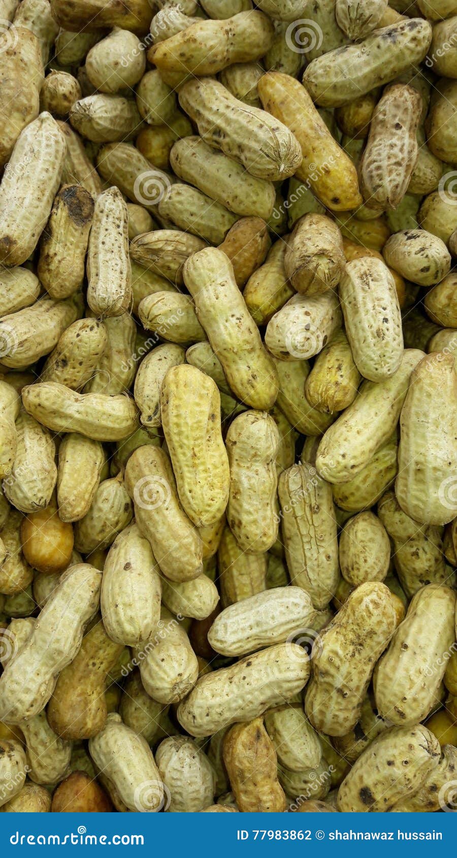 Nuts stock photo. Image of energy, nuts, body, human - 77983862