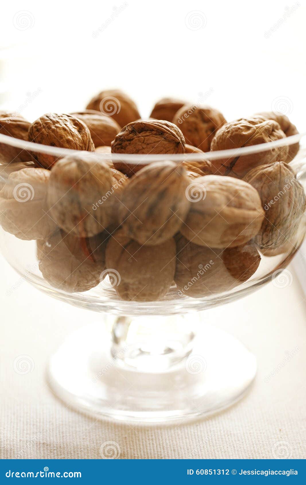 Nuts stock photo. Image of protected, glass, salty, winter - 60851312