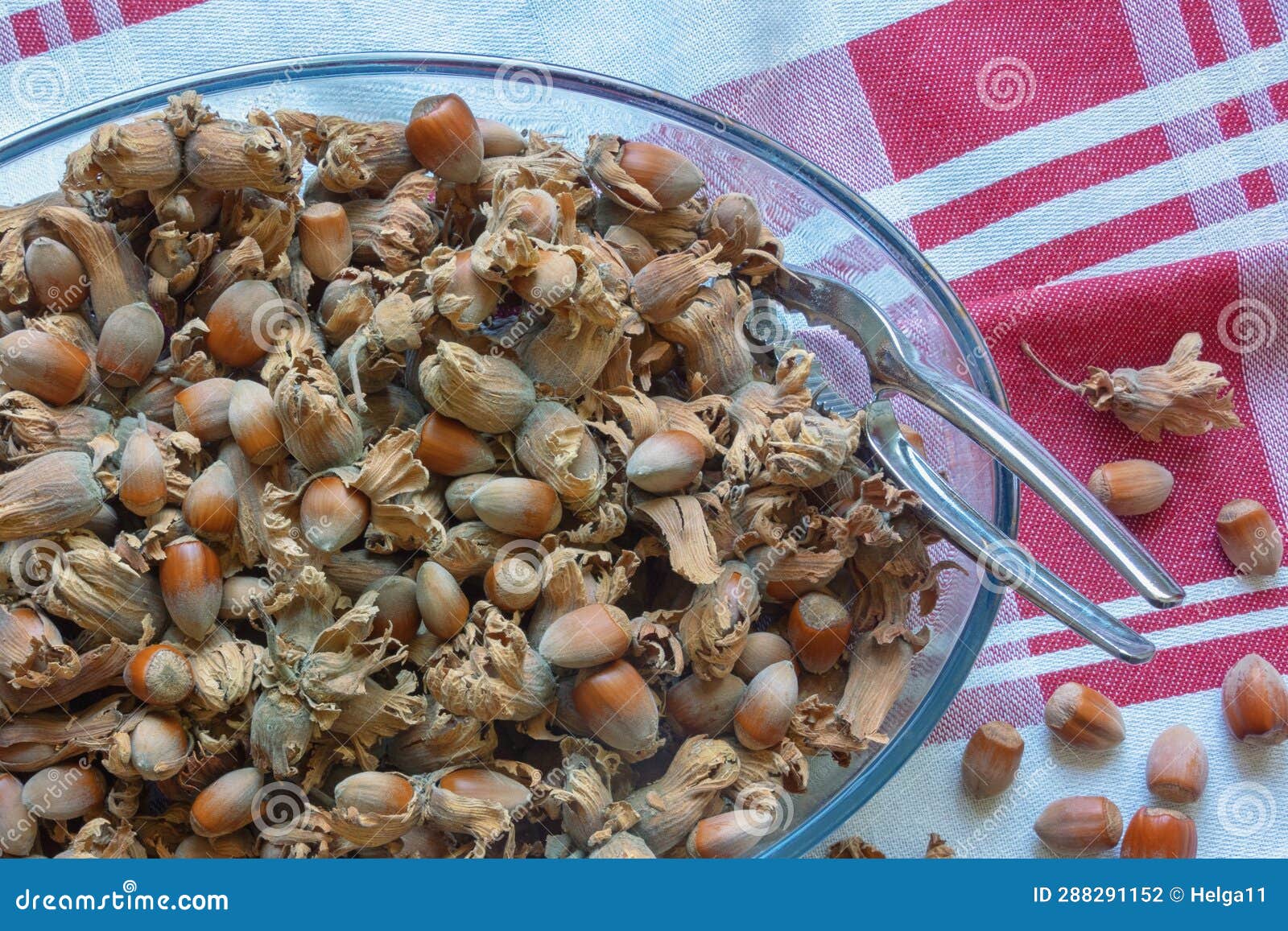 Hazelnut in Husk and Nutcracker Stock Photo - Image of nature ...