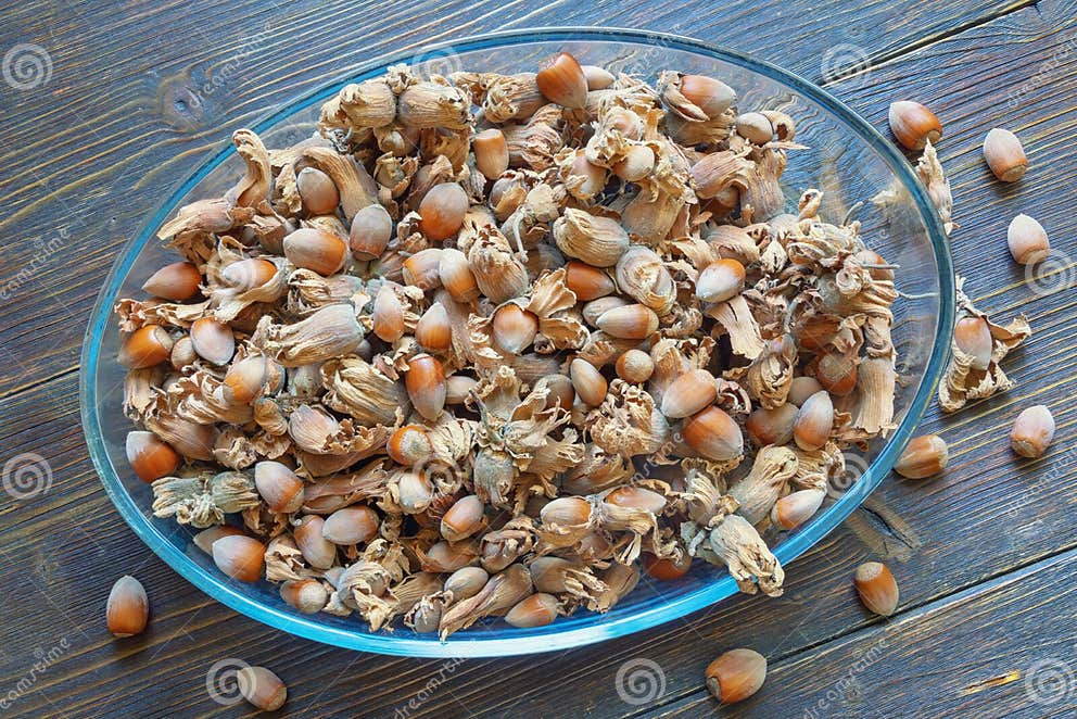 Nuts. Hazelnuts in Husk in Glass Dish Stock Image - Image of fruit ...