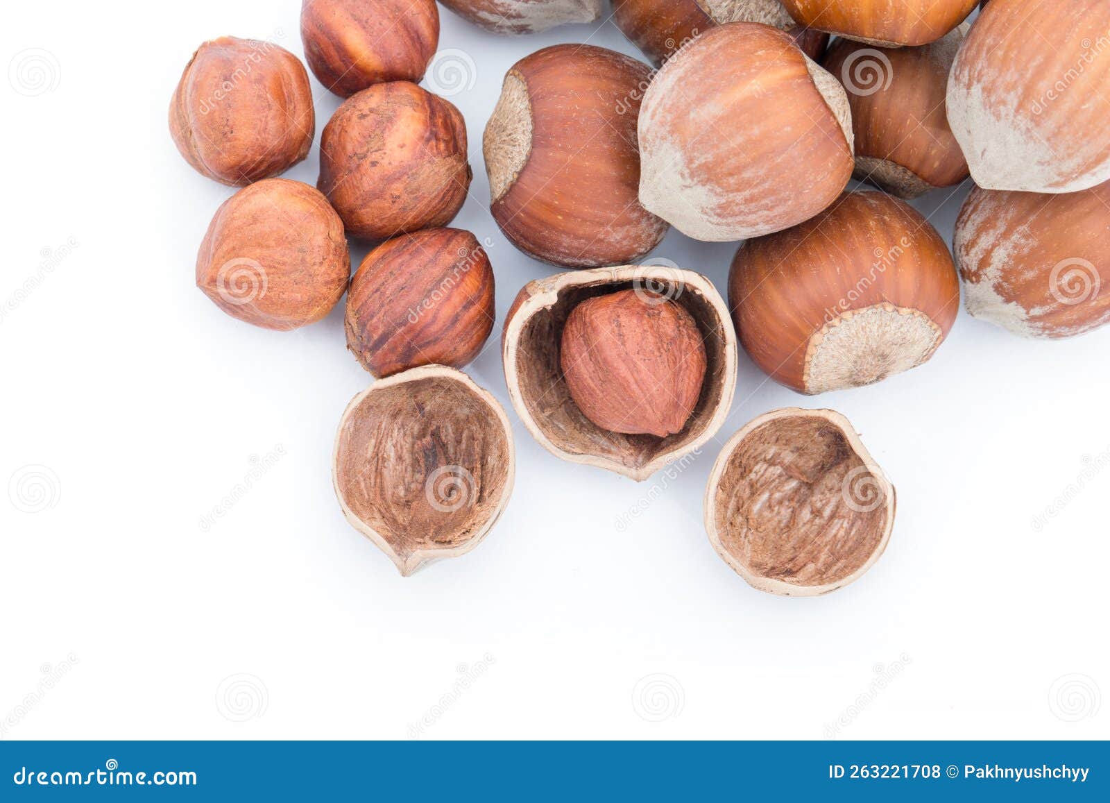 Nuts Hazelnuts Isolated on White Stock Photo - Image of healthy ...