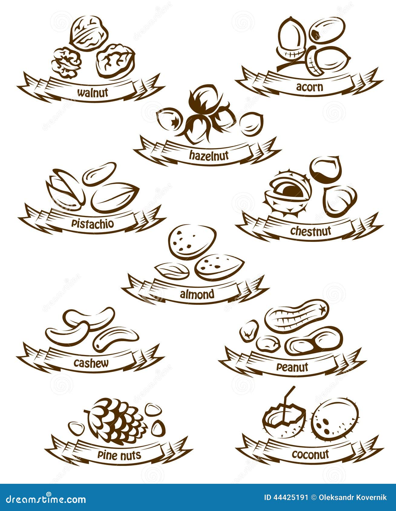 Nuts icon set stock vector. Illustration of acorn, hazel - 44425191