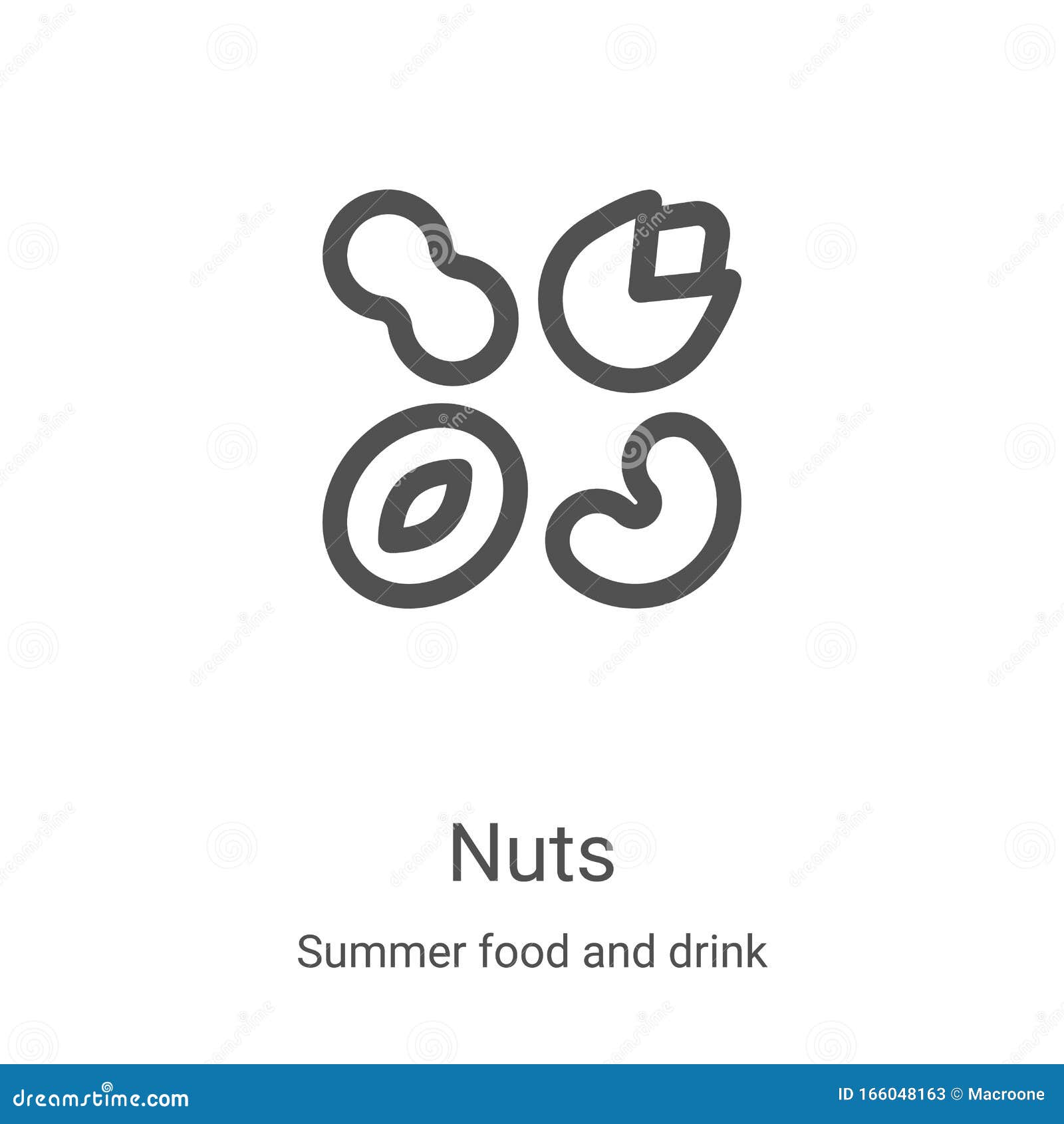 Nuts Icon Vector from Summer Food and Drink Collection. Thin Line Nuts ...