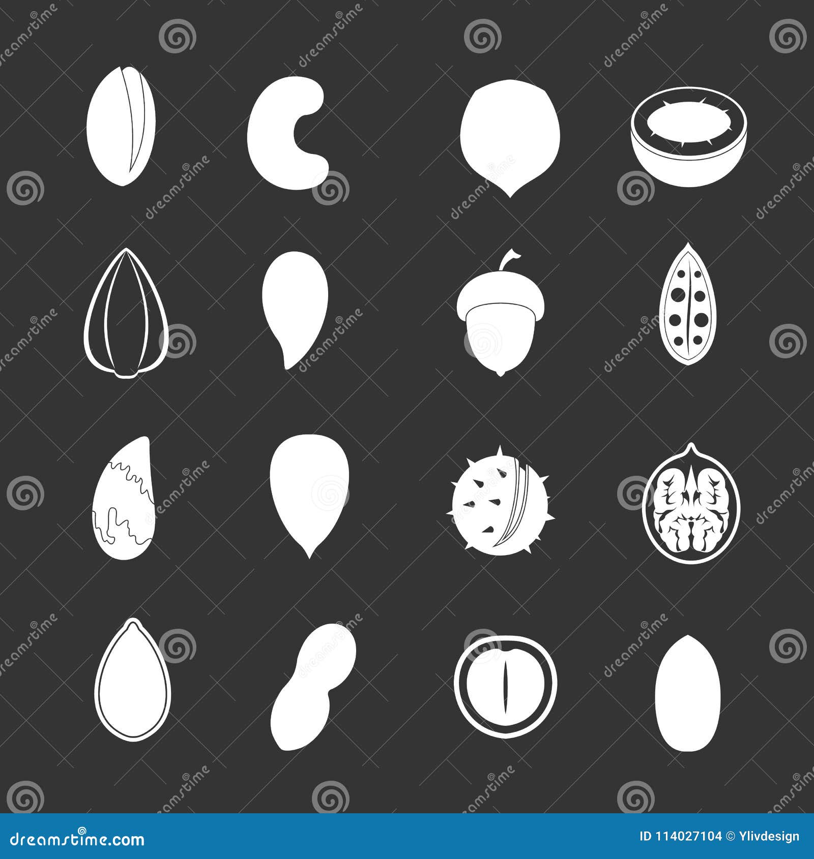 Nuts icons set grey vector stock vector. Illustration of nutshell ...