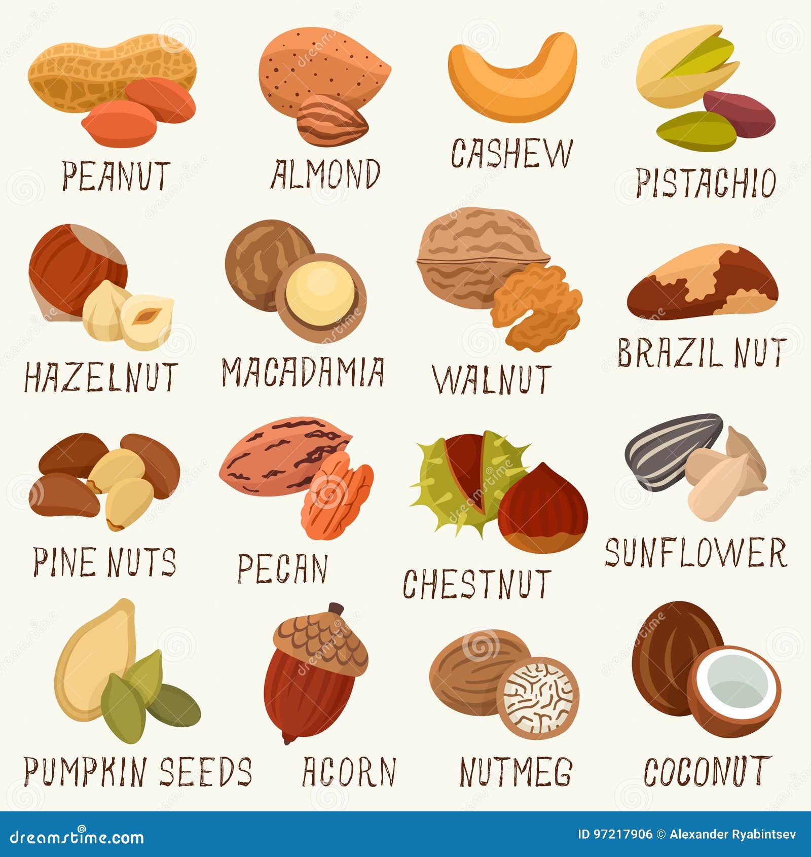 Nuts illustration stock vector. Illustration of hazelnut - 97217906