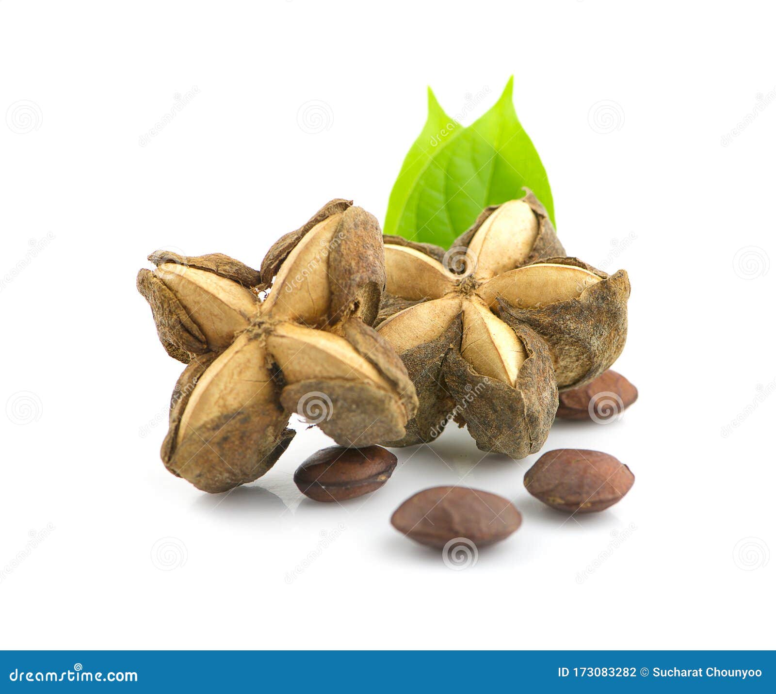 Nuts Incas , Sacha Inchi Peanut Seed an Isolated on White Background ...