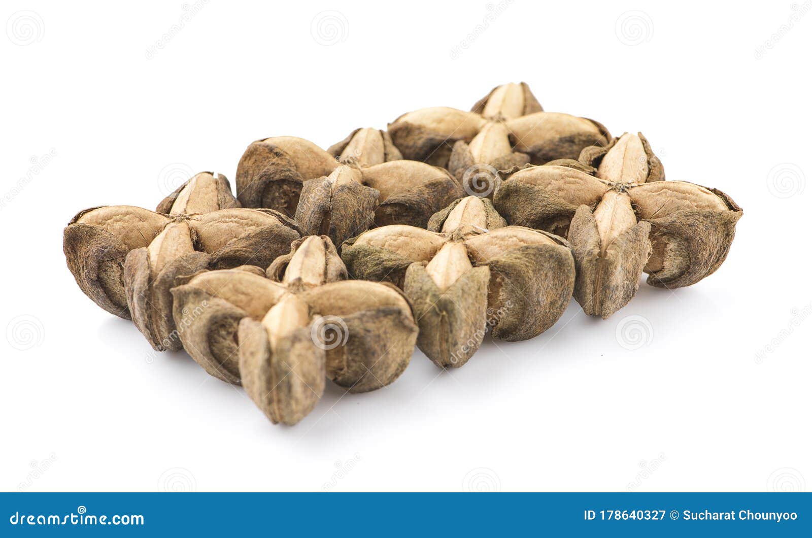 Nuts Incas , Sacha Inchi Peanut Seed an Isolated on White Background ...