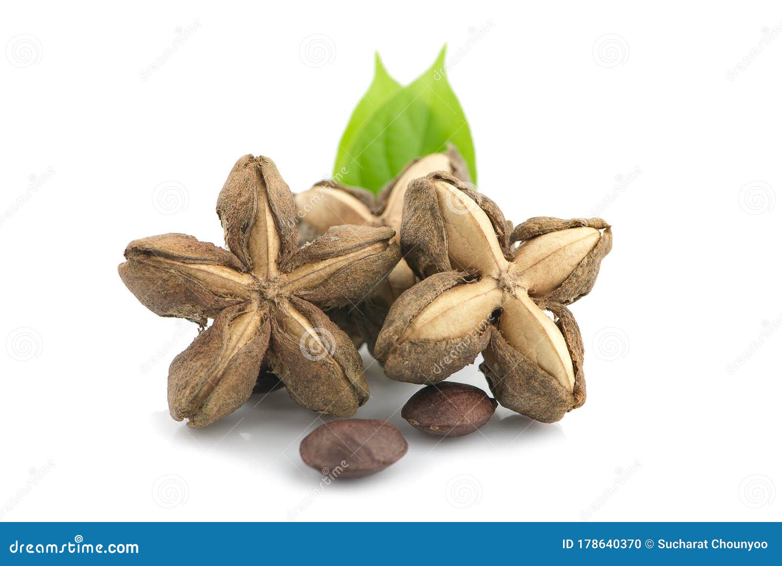 Nuts Incas , Sacha Inchi Peanut Seed an Isolated on White Background ...