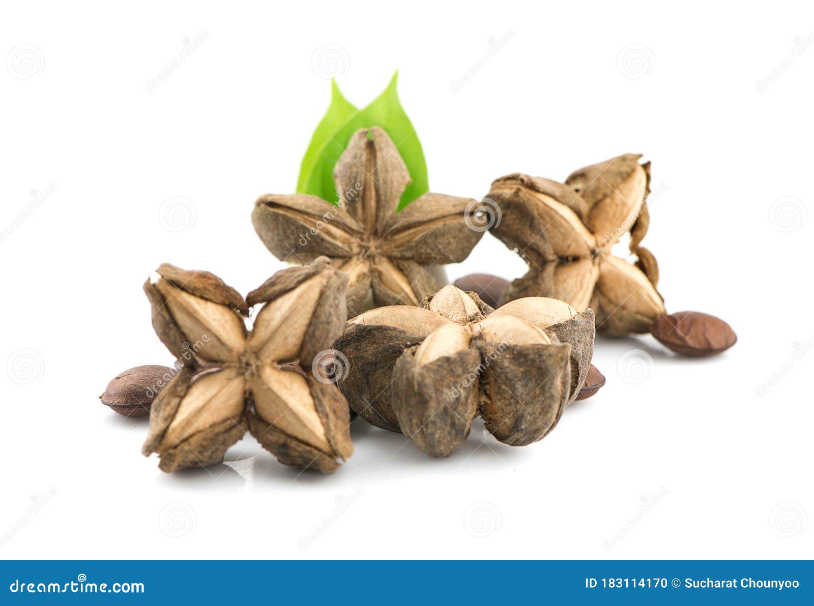 Nuts Incas , Sacha Inchi Peanut Seed an Isolated on White Background ...