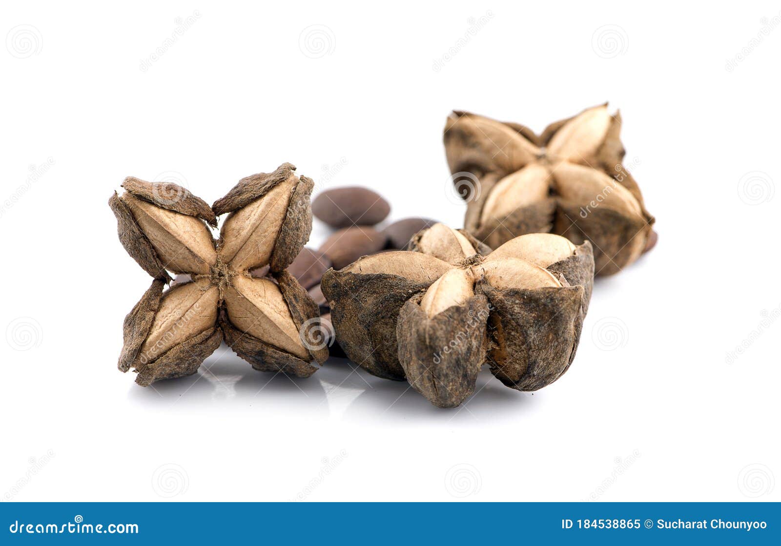 Nuts Incas , Sacha Inchi Peanut Seed an Isolated on White Background ...
