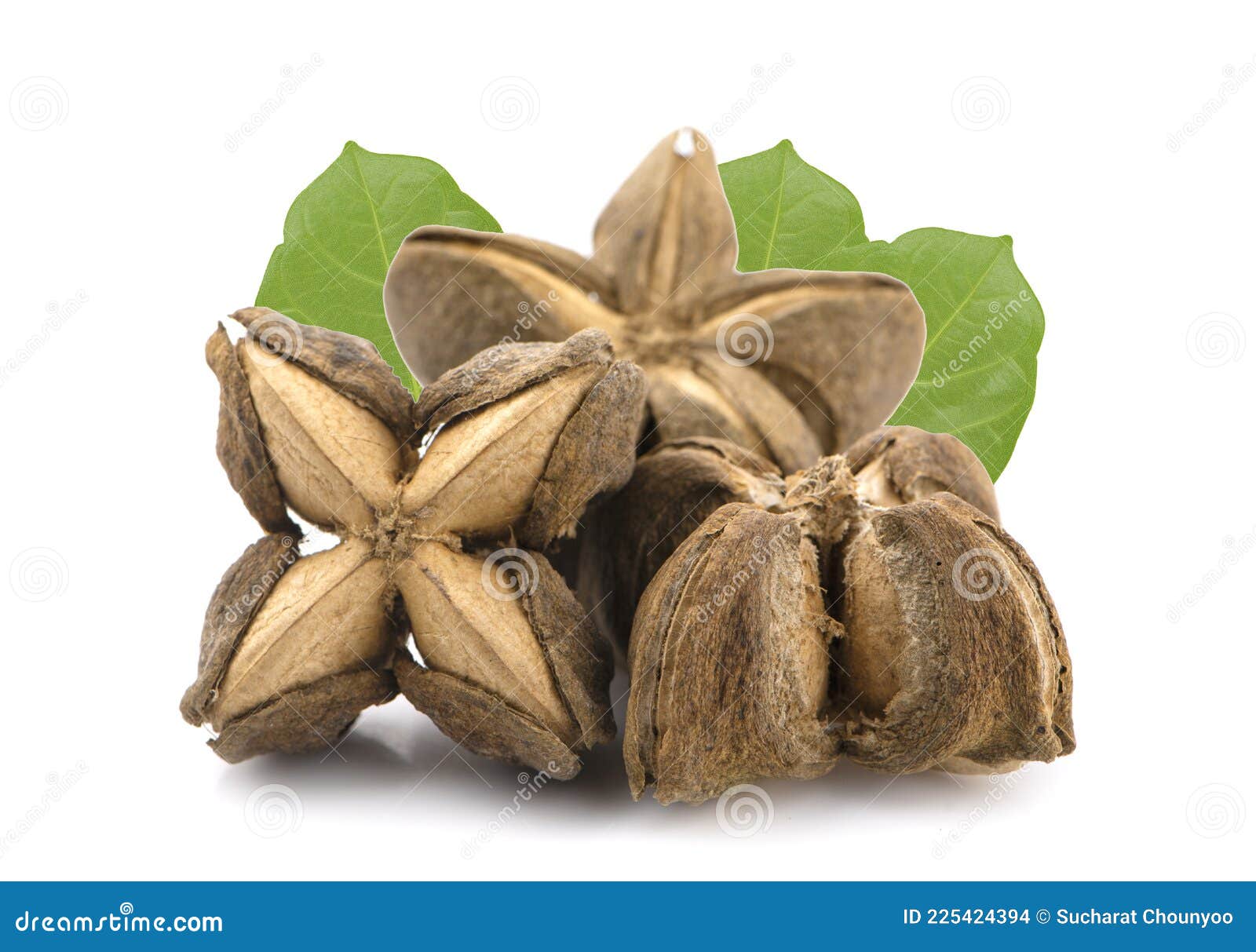 Nuts Incas , Sacha Inchi Peanut Seed an Isolated on White Background ...