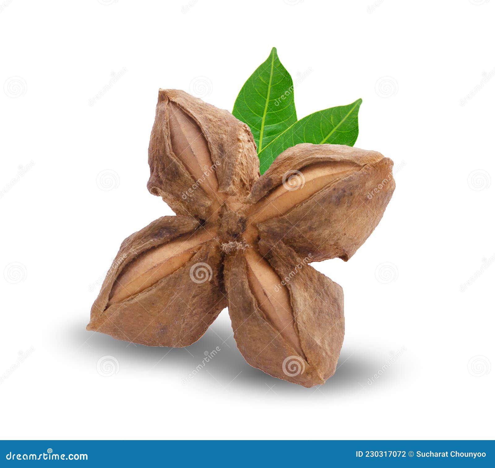 Nuts Incas , Sacha Inchi Peanut Seed an Isolated on White Background ...