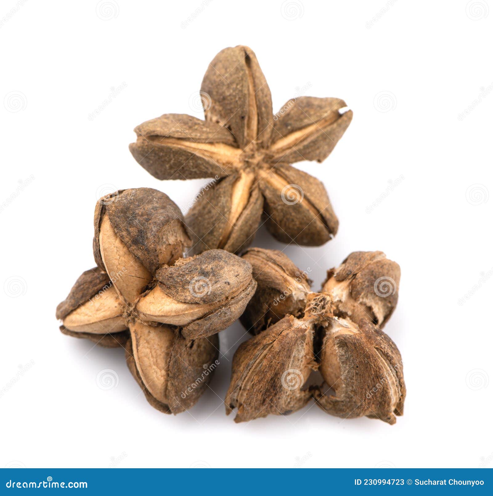 Nuts Incas , Sacha Inchi Peanut Seed an Isolated on White Background ...