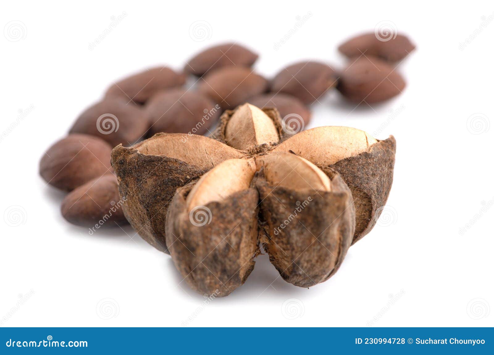 Nuts Incas , Sacha Inchi Peanut Seed an Isolated on White Background ...
