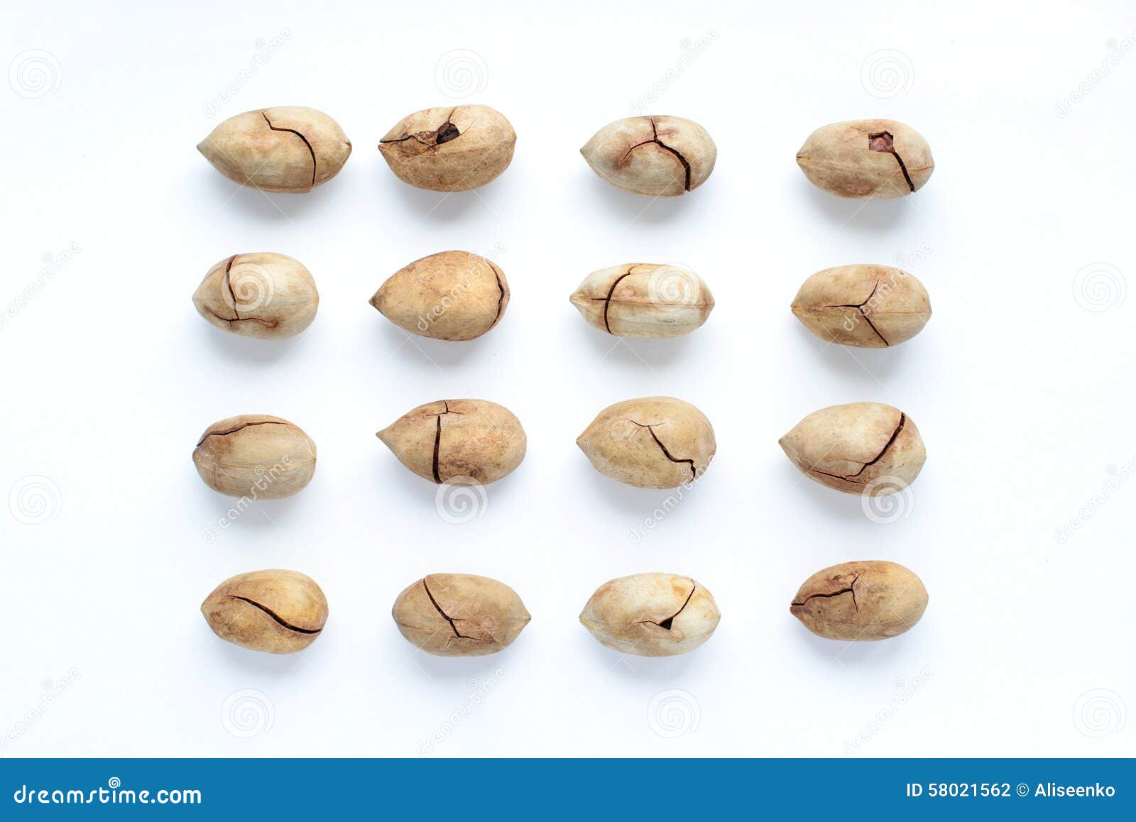 Nuts isolated stock photo. Image of shelled, macro, nuts - 58021562