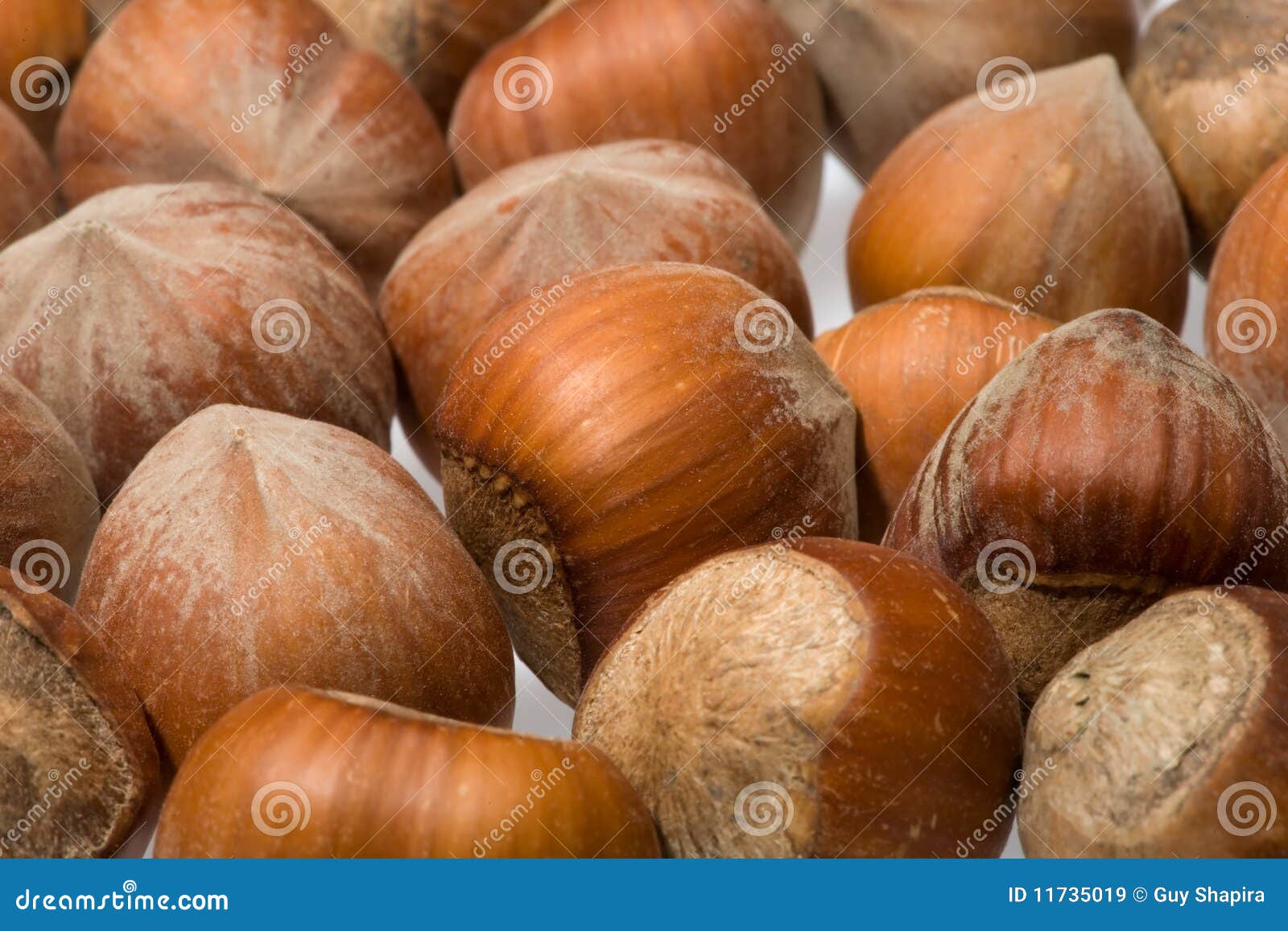 Nuts Isolated on White Background. Stock Image - Image of healthy ...