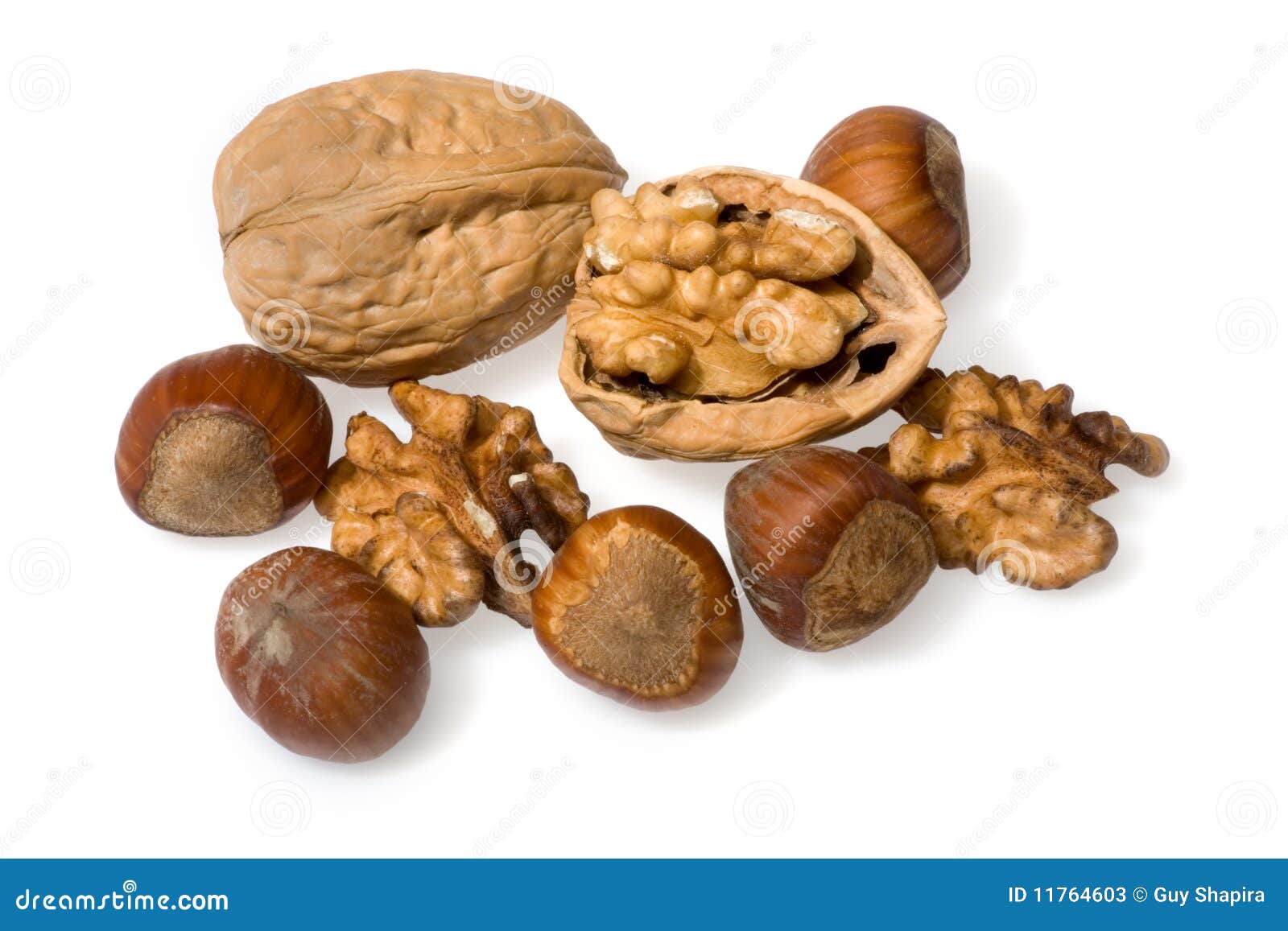 Nuts Isolated on White Background. Stock Image - Image of brown ...