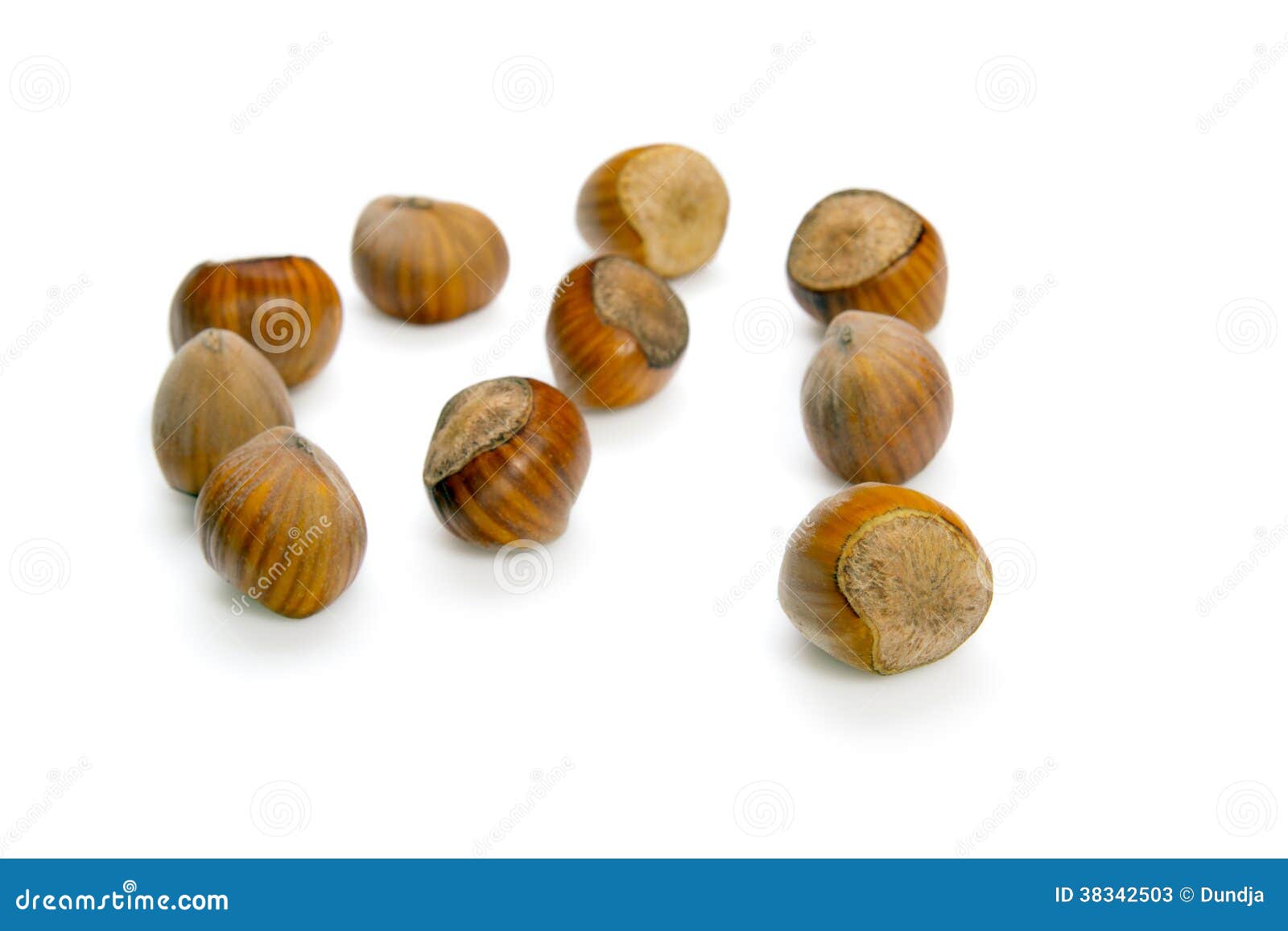 Nuts stock image. Image of plant, healthy, isolated, closeup - 38342503