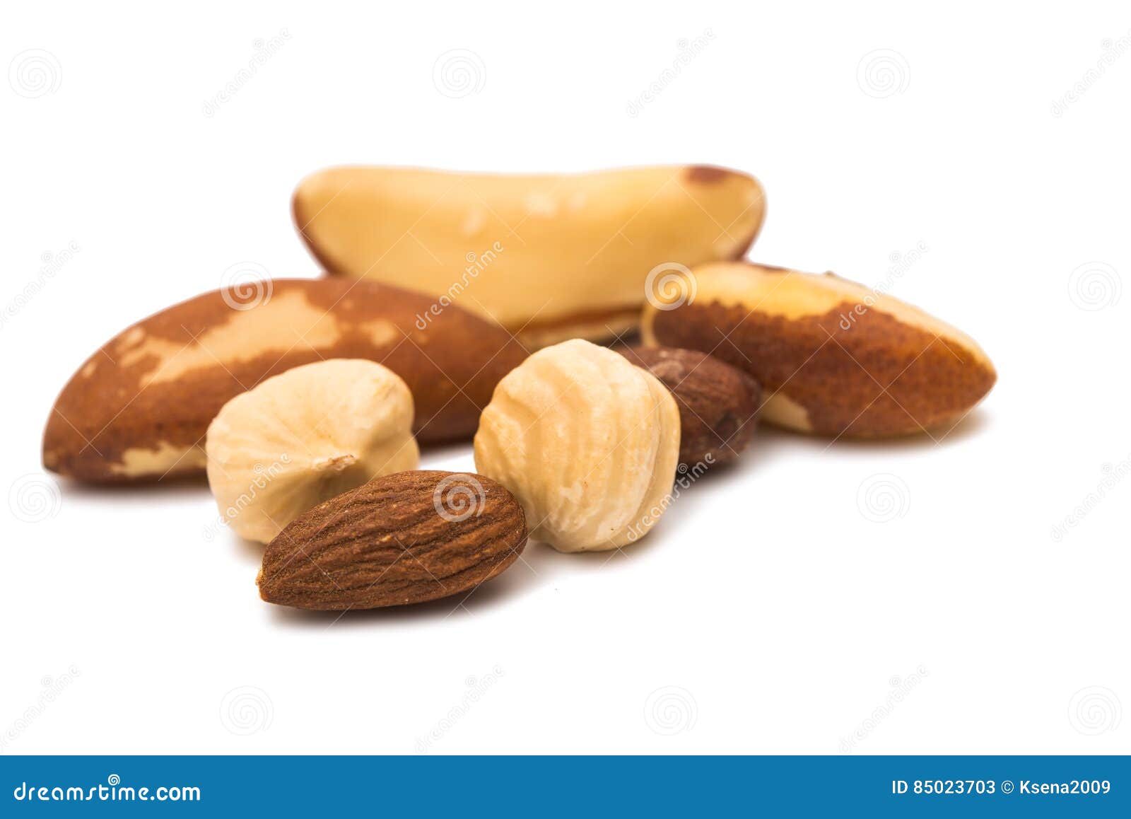 Nuts isolated stock image. Image of object, health, holding - 85023703