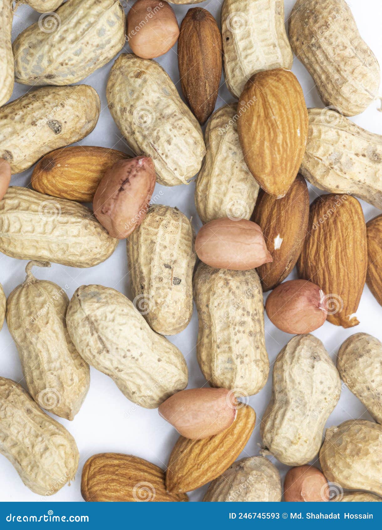Nuts Isolated on White Background with Full Depth of Field Stock Image ...
