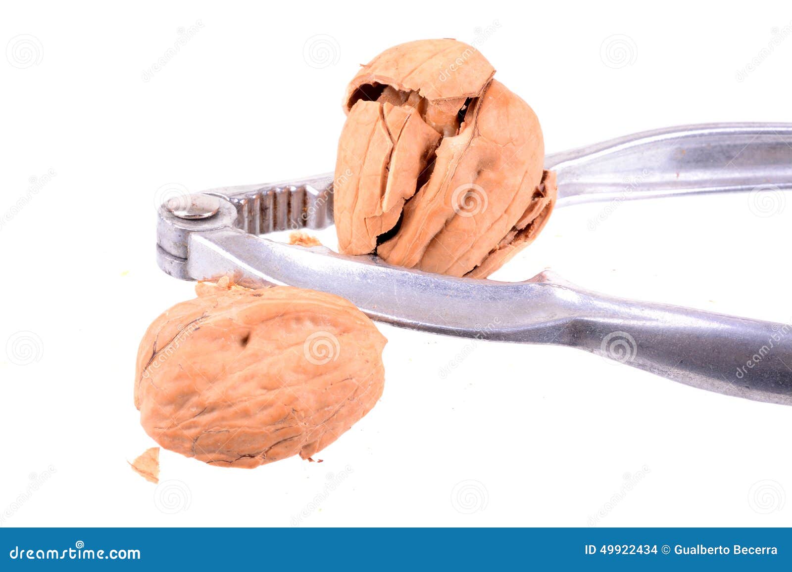 Nuts stock photo. Image of cracking, closeup, hard, fall - 49922434