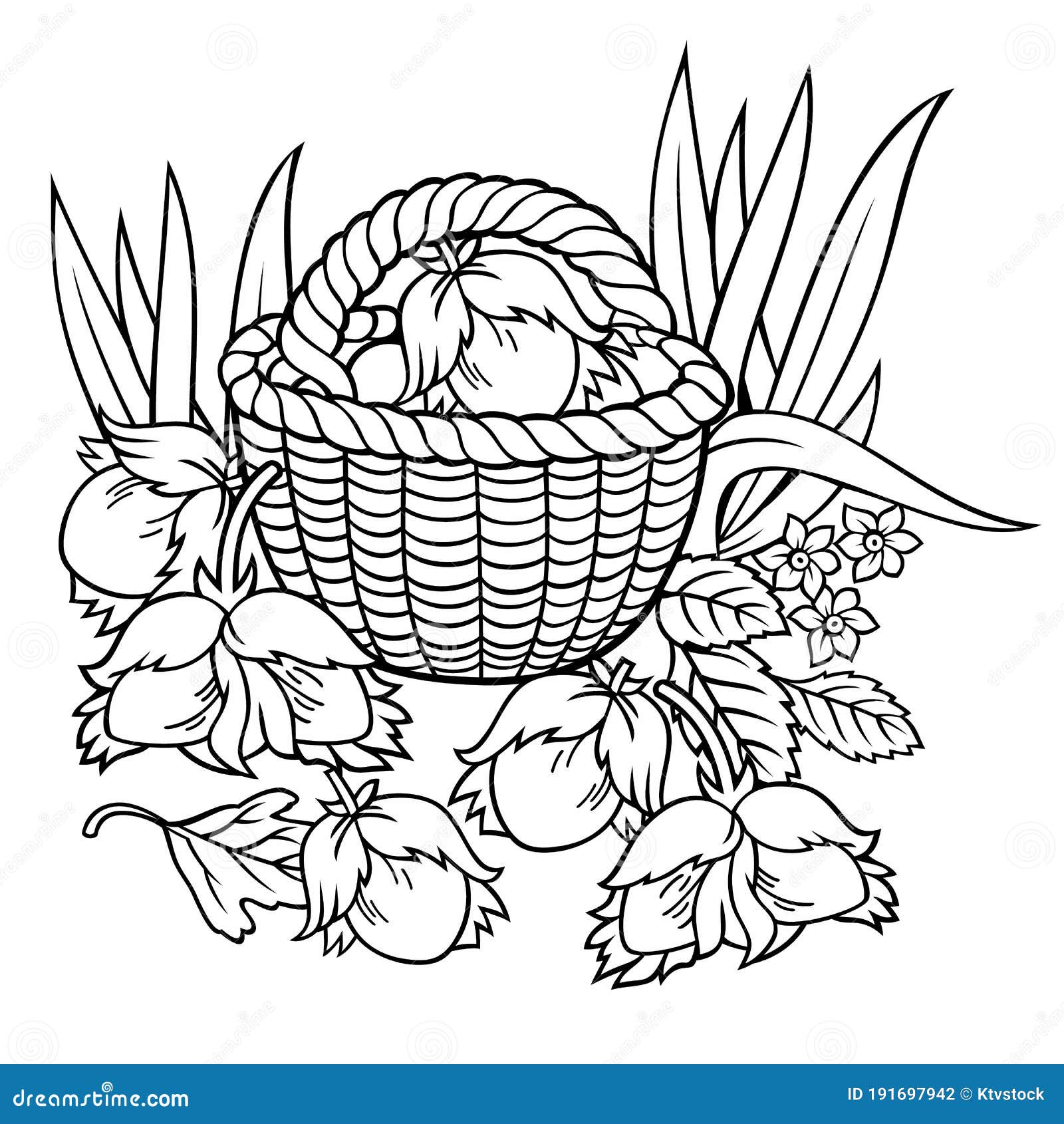 Nuts Nature Cartoon Vector Outline Illustration Stock Vector ...