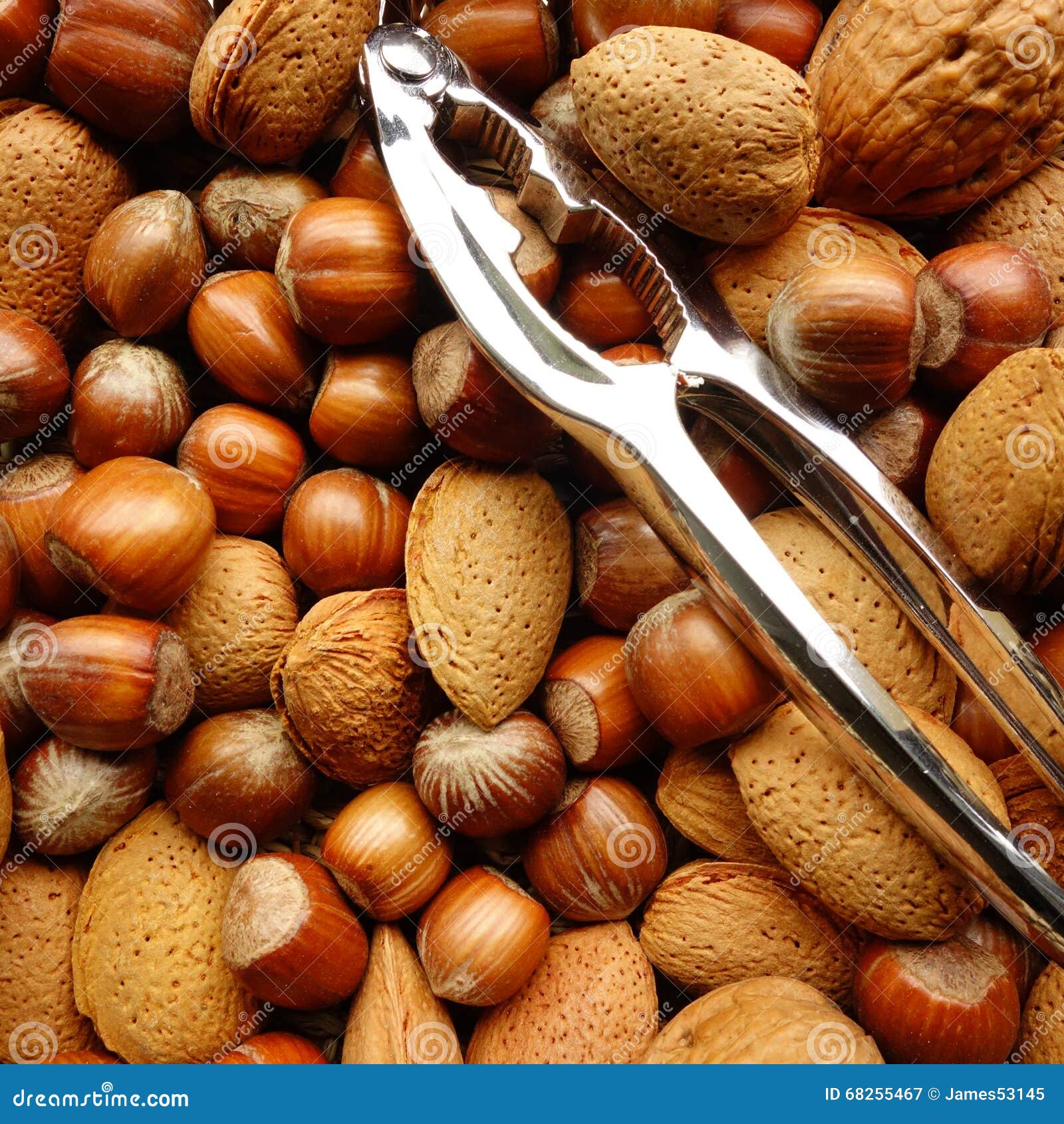 Nuts and Nutcrackers stock image. Image of nutcrackers - 68255467