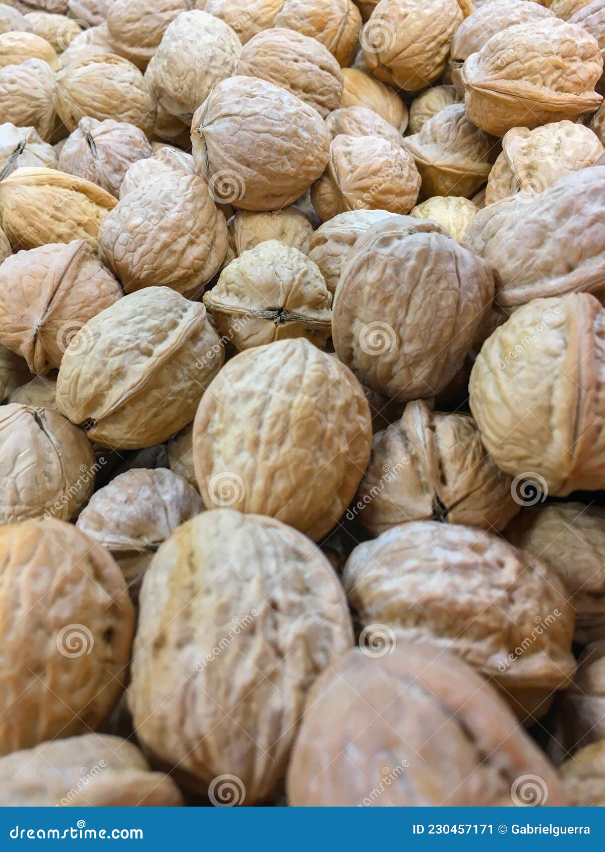 Many Raw Unprocessed Nuts in a Close Up. Stock Image - Image of shell ...