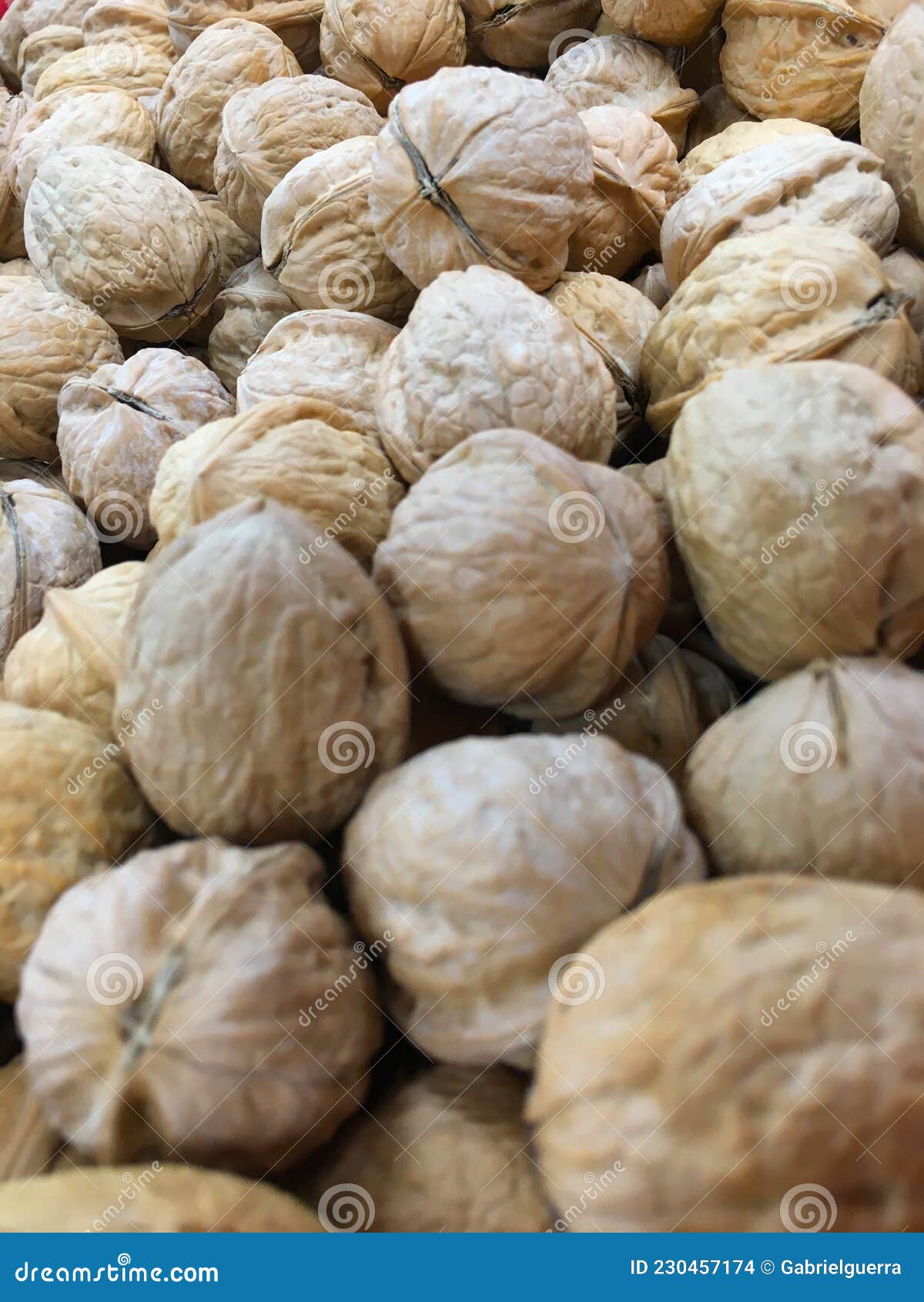 Many raw unprocessed nuts stock photo. Image of fresh - 230457174
