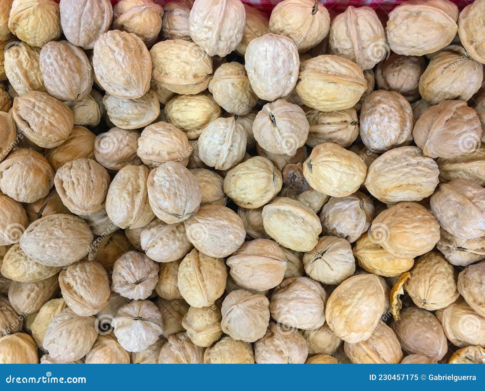 Many raw unprocessed nuts stock image. Image of nature - 230457175