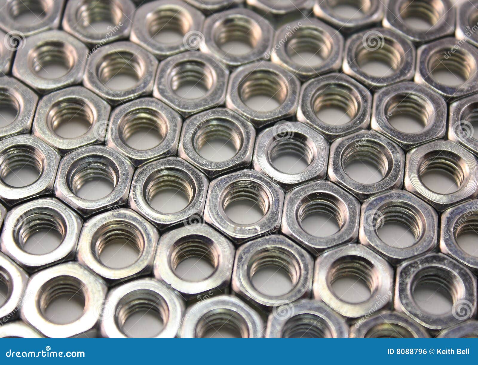 Nuts Nuts Everywhere Picture. Image: 8088796