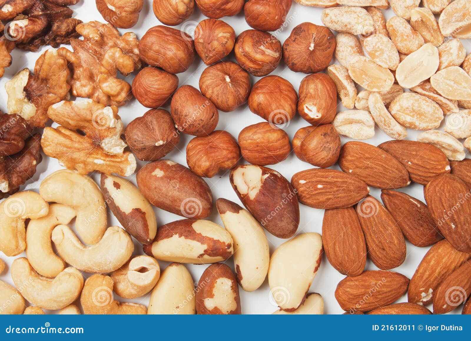 Nuts over white background stock image. Image of walnut - 21612011