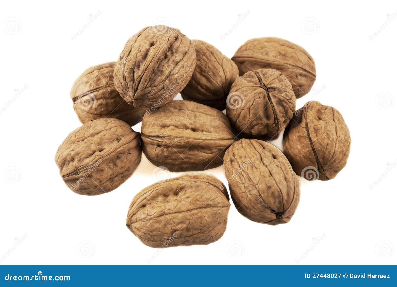Nuts Over White Isolated Background Stock Image - Image of food ...