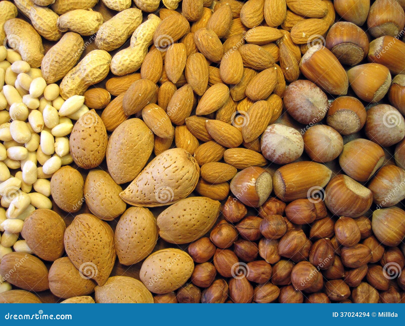Nuts pattern stock photo. Image of food, background, nutrition - 37024294