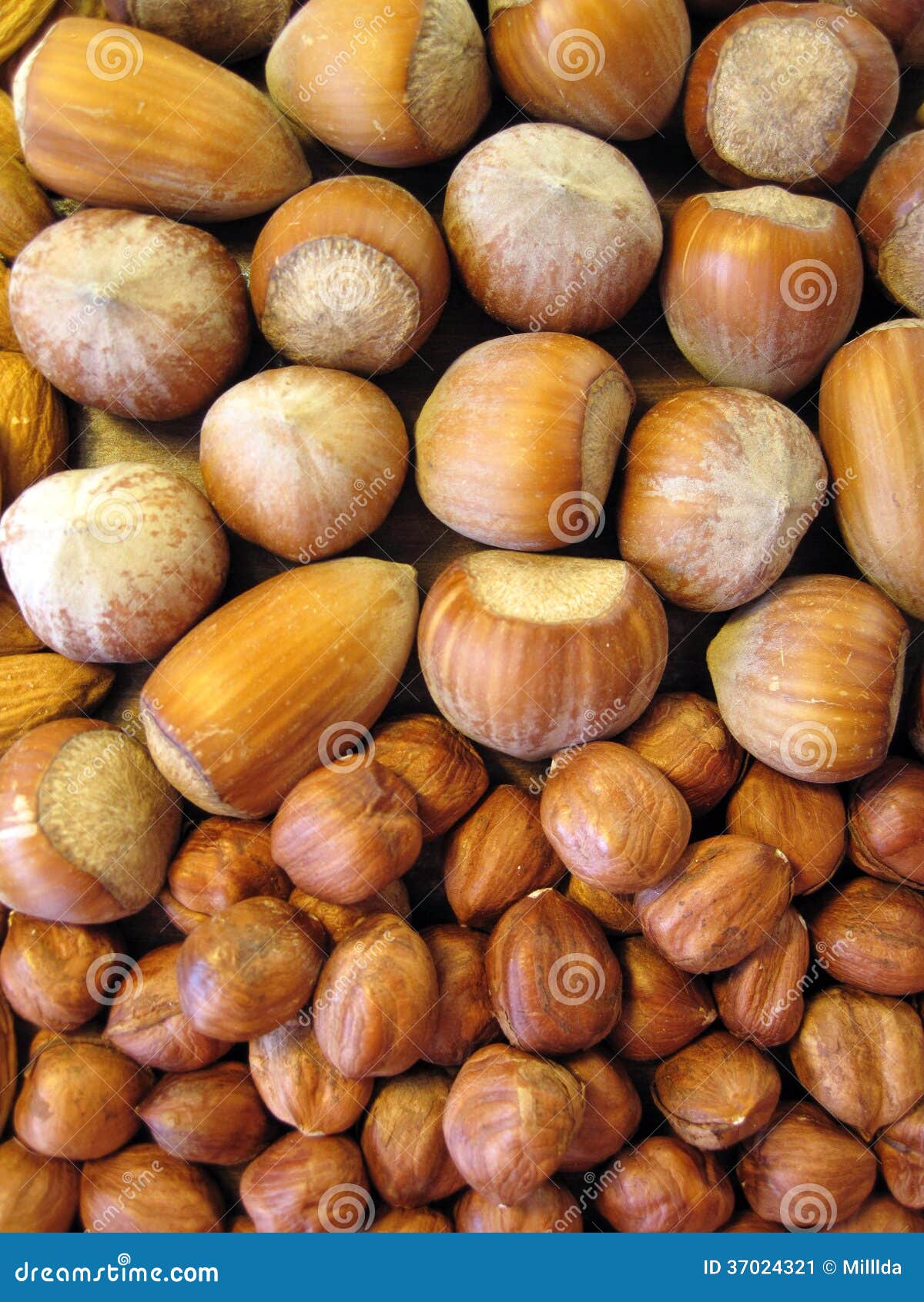 Nuts pattern stock image. Image of surface, macro, production - 37024321