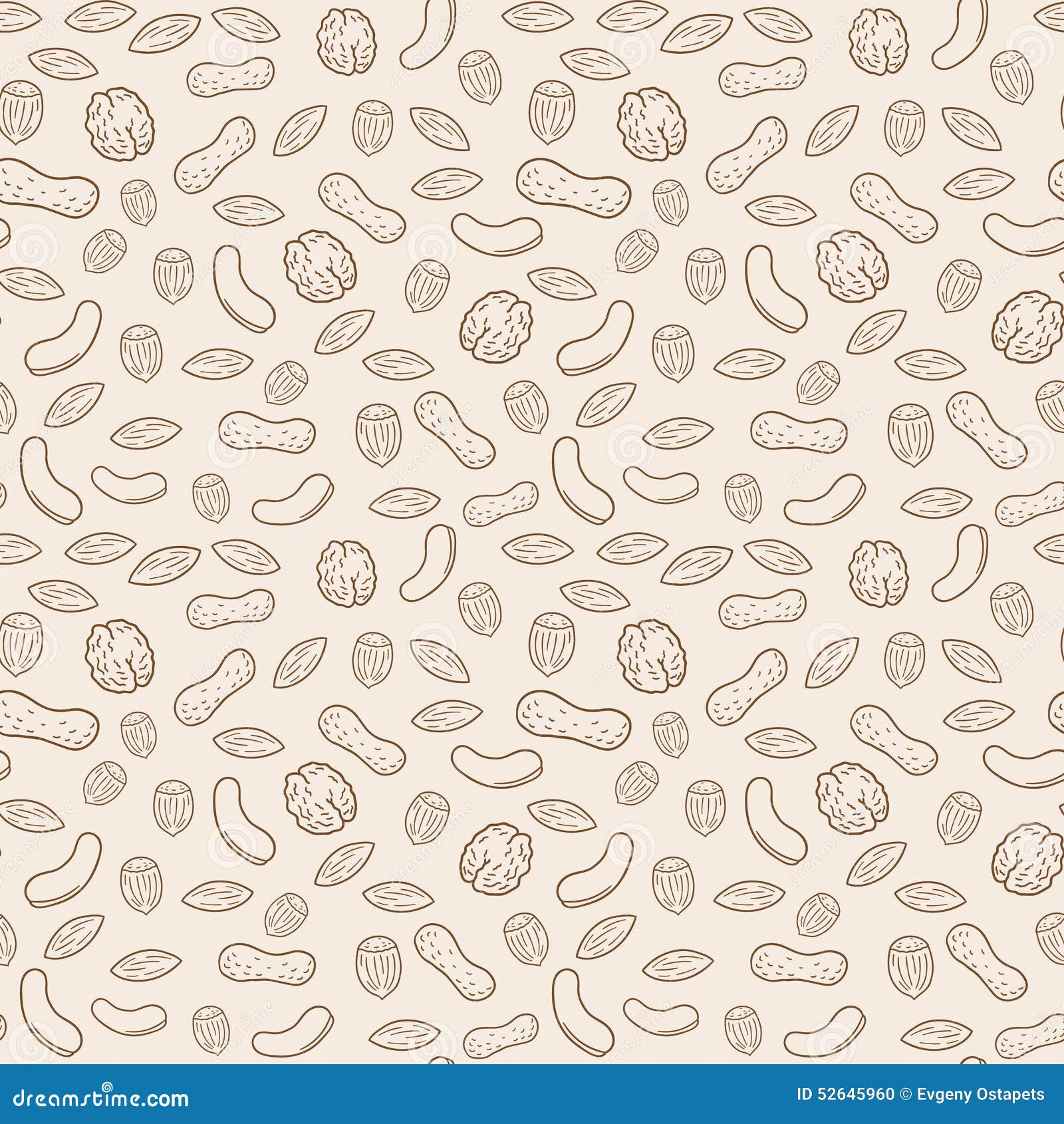 Nuts Pattern stock vector. Illustration of engrave, filbert - 52645960