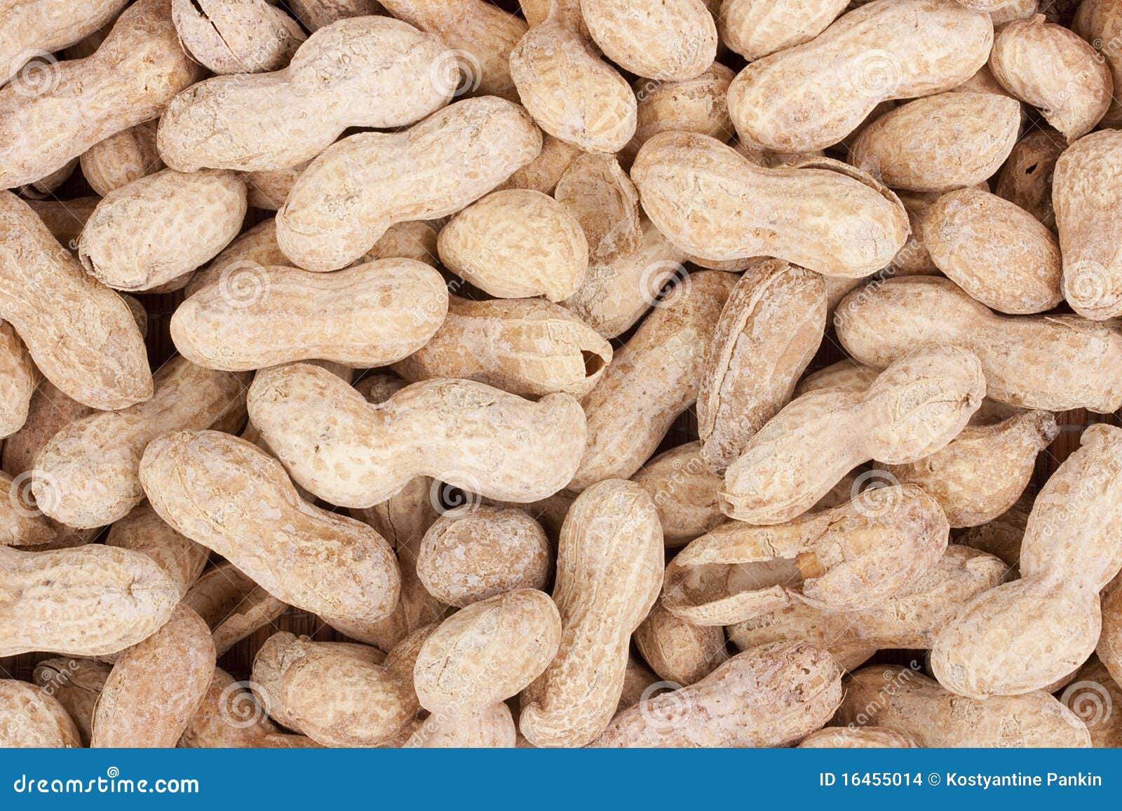 Nuts Peanuts stock photo. Image of brown, botany, peanuts - 16455014