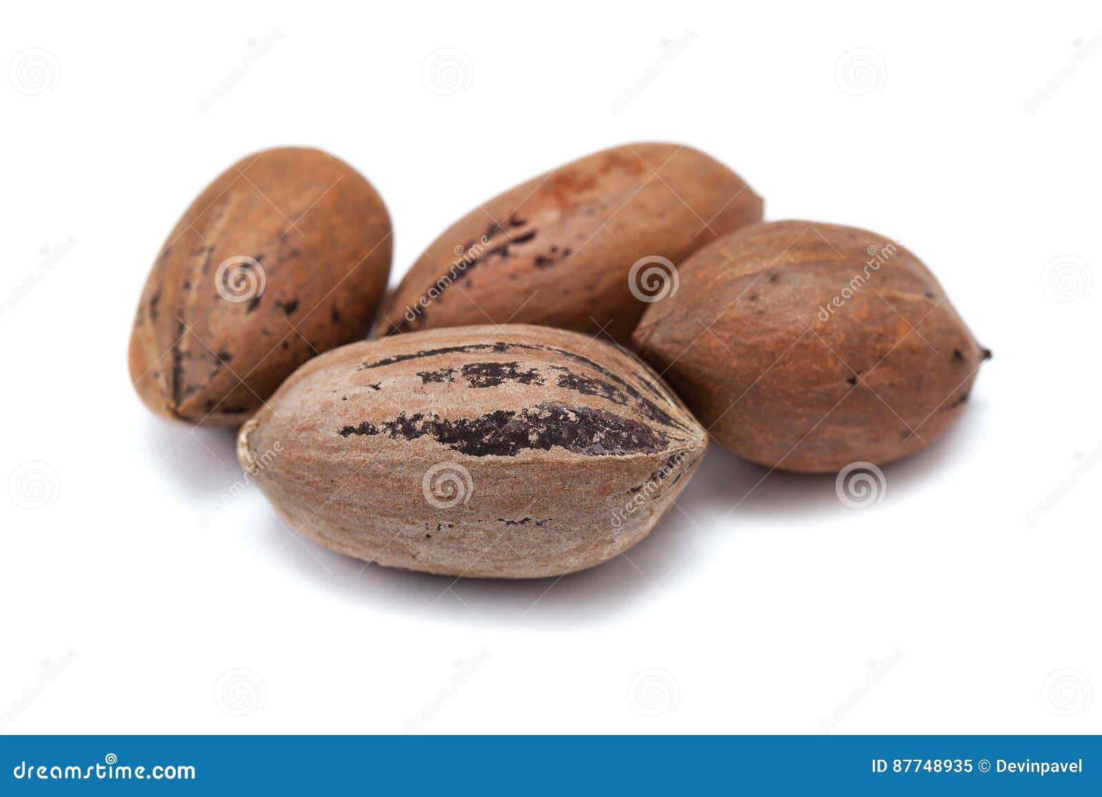 Nuts Pecans in Shell Closeup Stock Image - Image of antioxidant, nuts ...