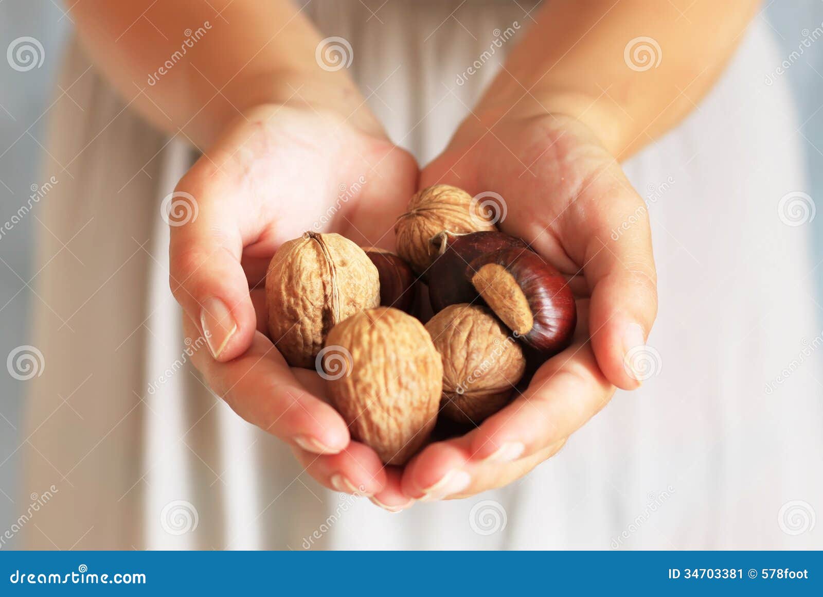 Nuts stock image. Image of natural, nature, light, heart - 34703381