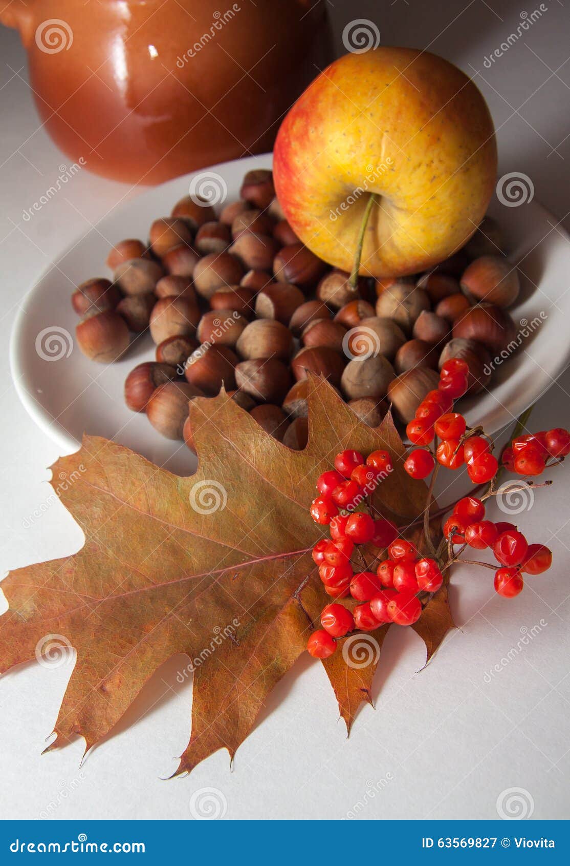Nuts on plate stock image. Image of detox, nazel, hazelnut - 63569827