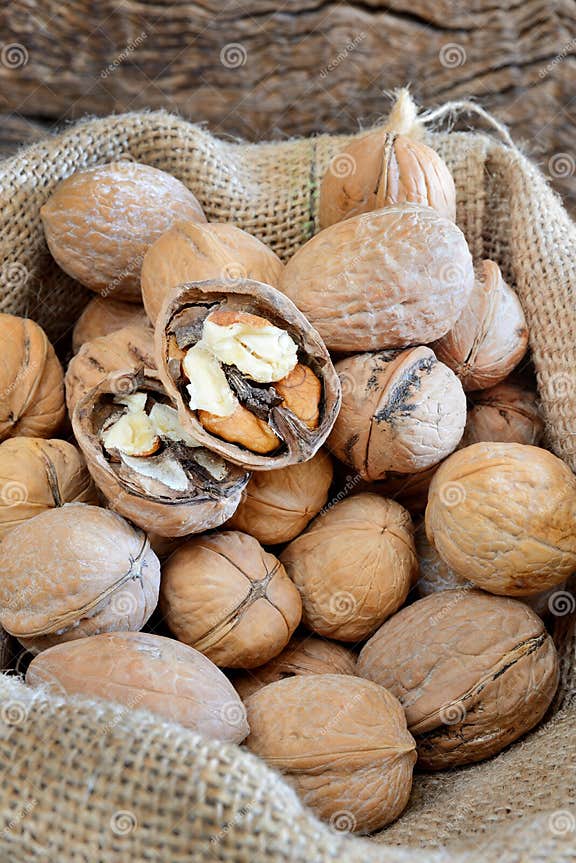 Nuts in sack stock photo. Image of snack, shell, food - 39801670