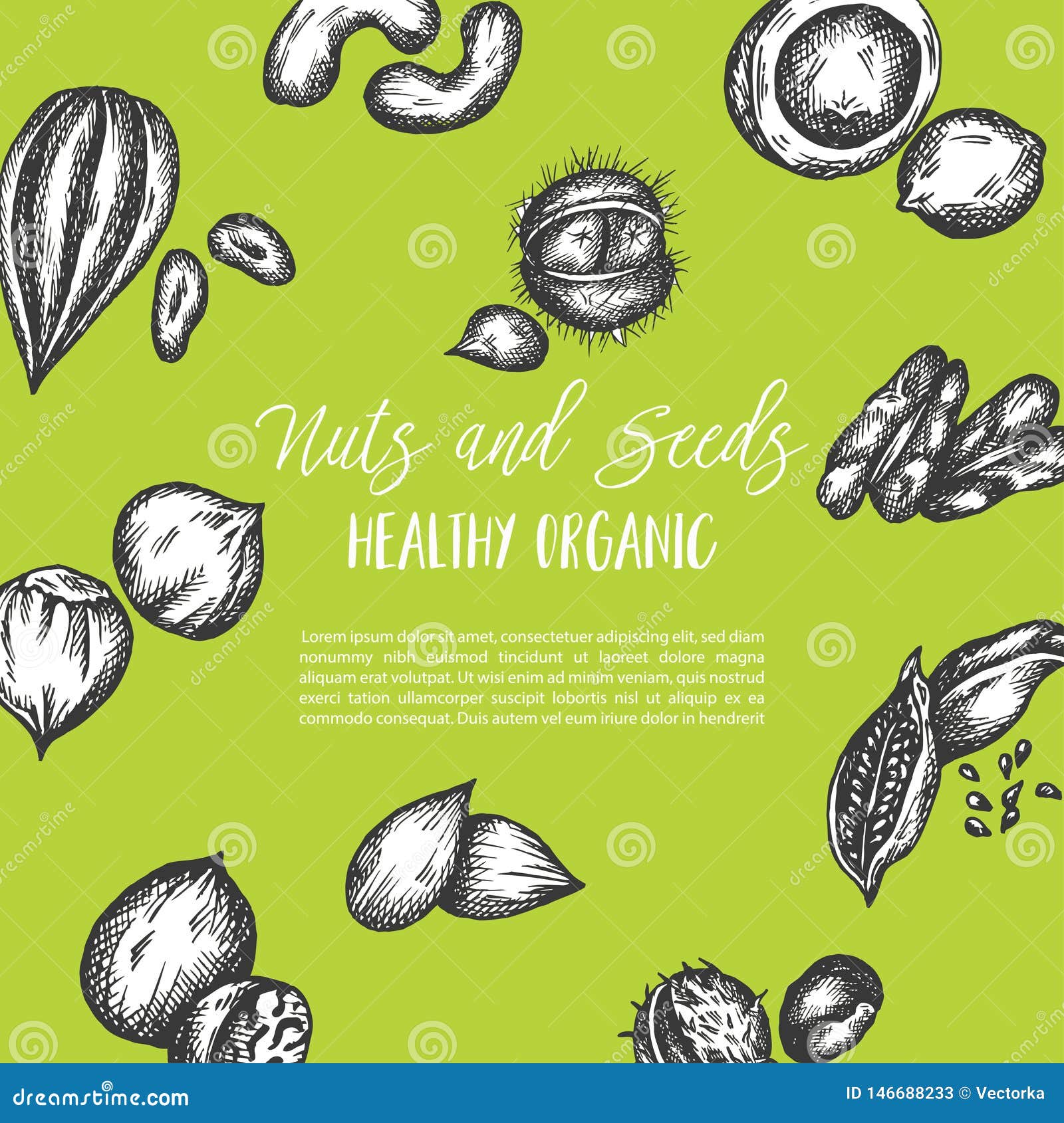 Nuts and Seeds Banners Collection Hand Drawn Vector Illustration with ...